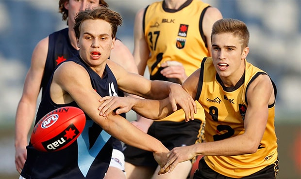 Late gems: Matt Guelfi