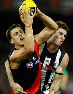 Knights backs Lloyd, Lucas