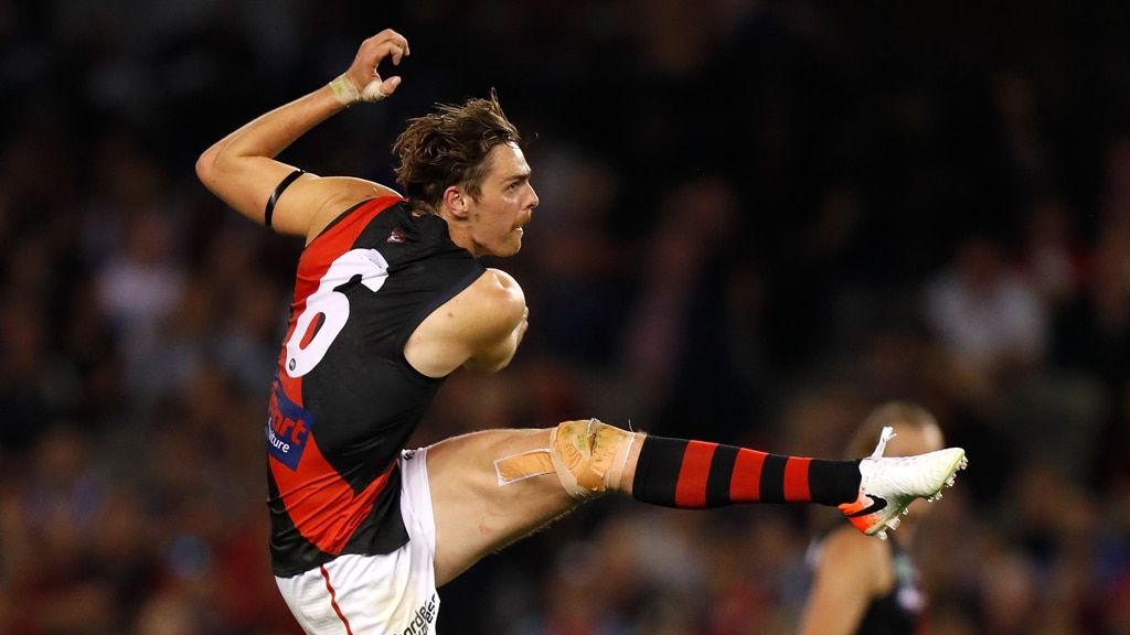 Season review: Joe Daniher