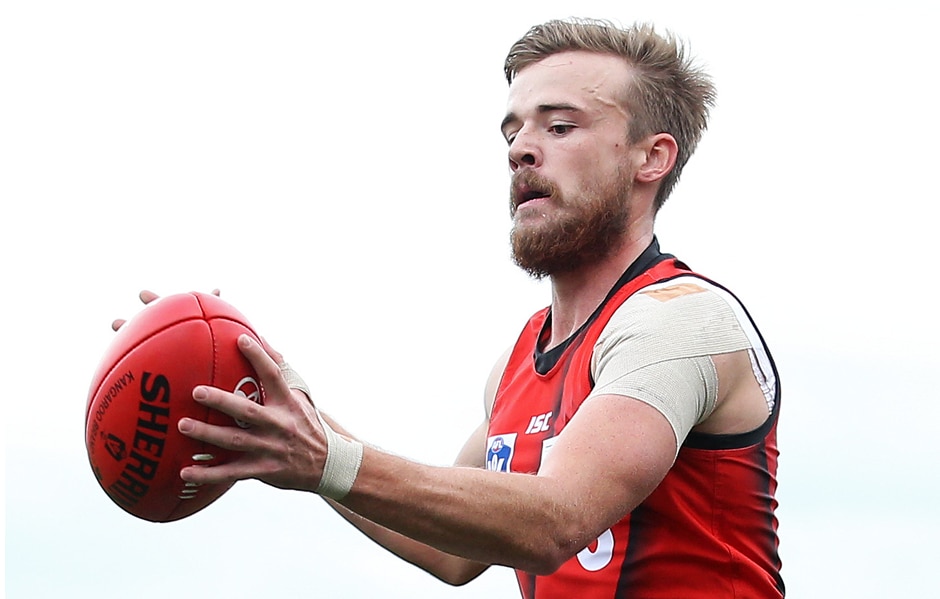 VFL Dons miss narrowly