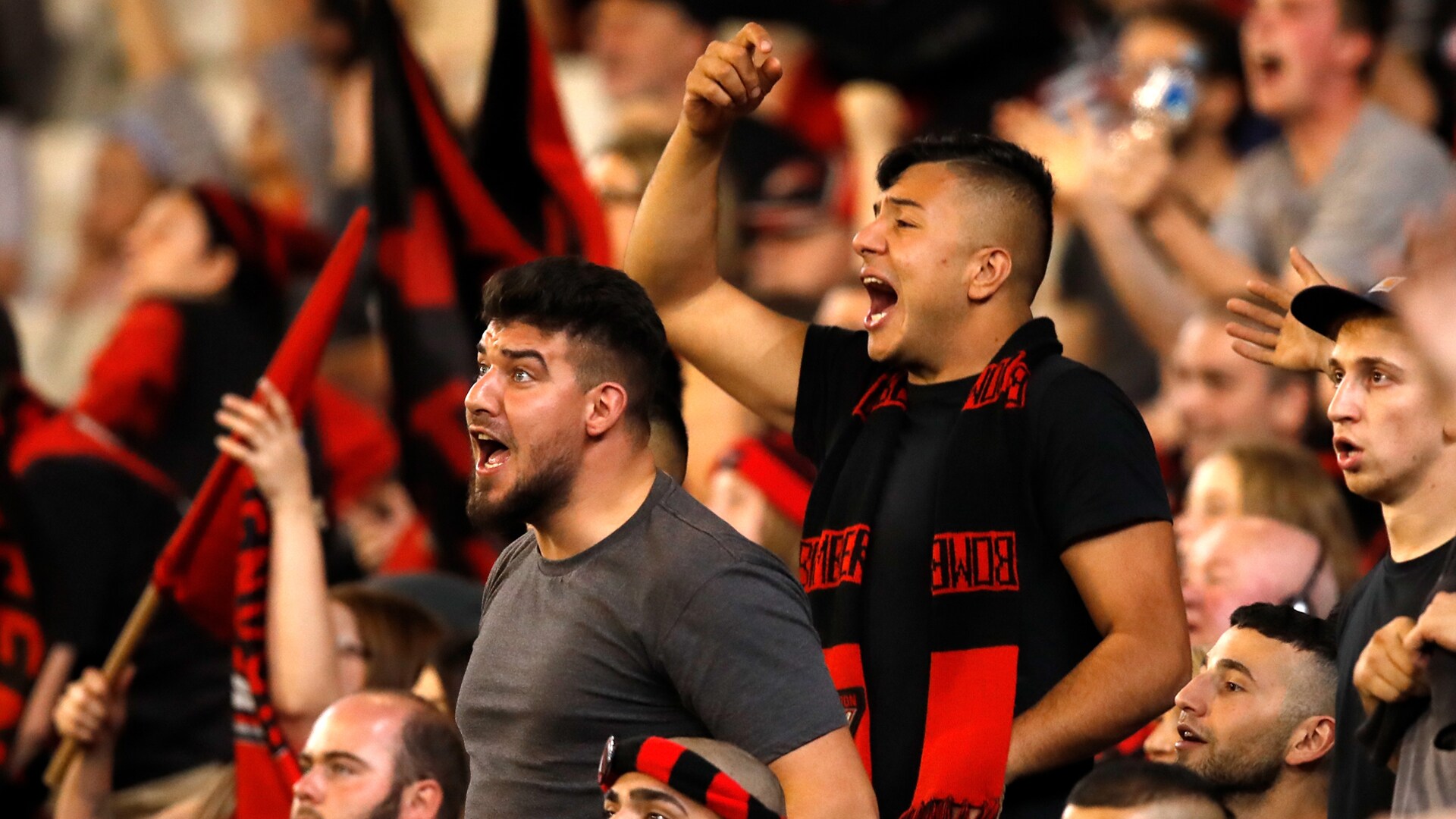AFL open to fans in stands