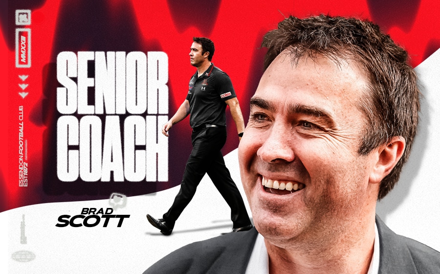 Brad Scott appointed men's senior coach