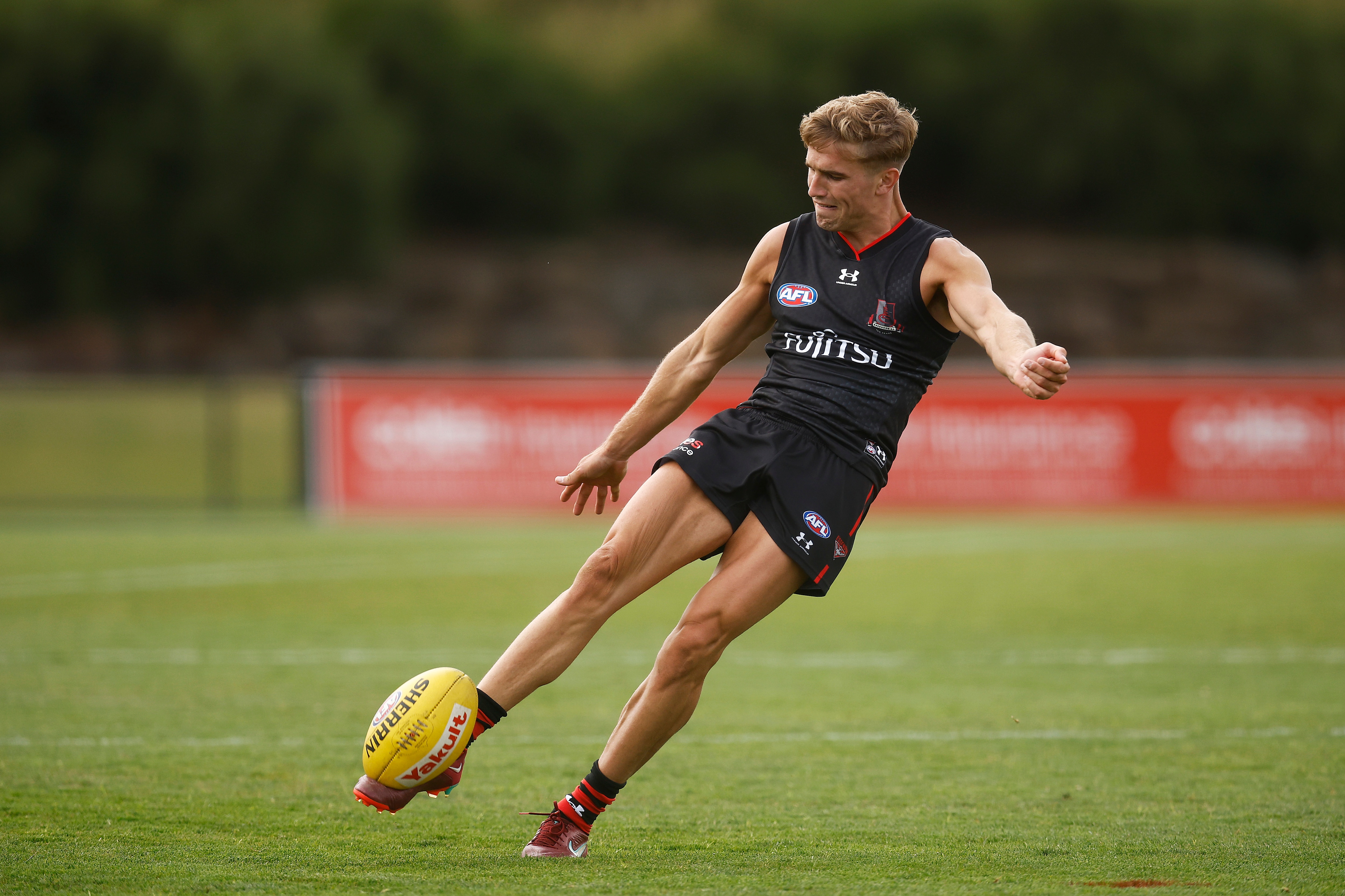 Injury update: Matt Guelfi