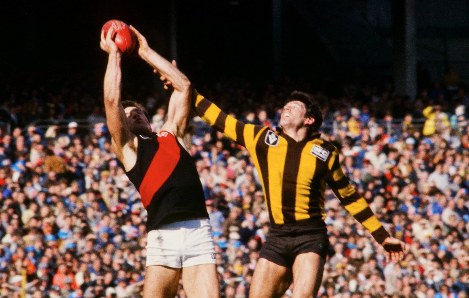 Celebrating 40 years of the 1984 Premiership