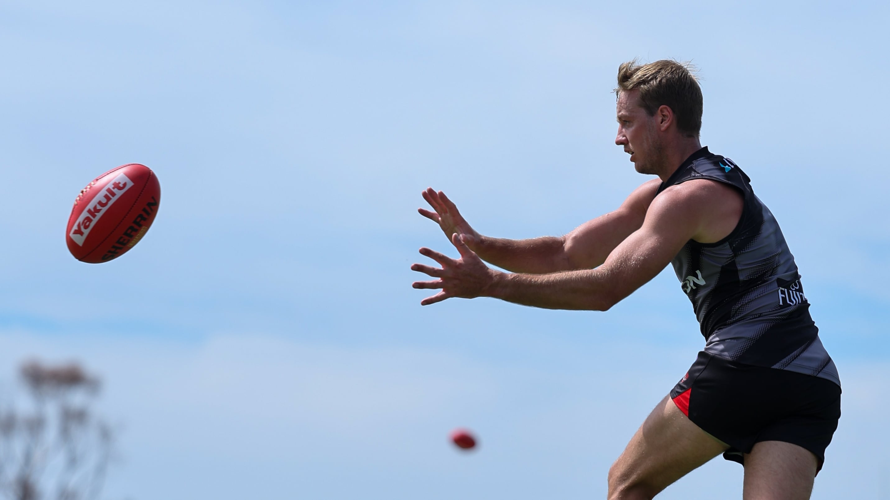 Parish hoping for clean run