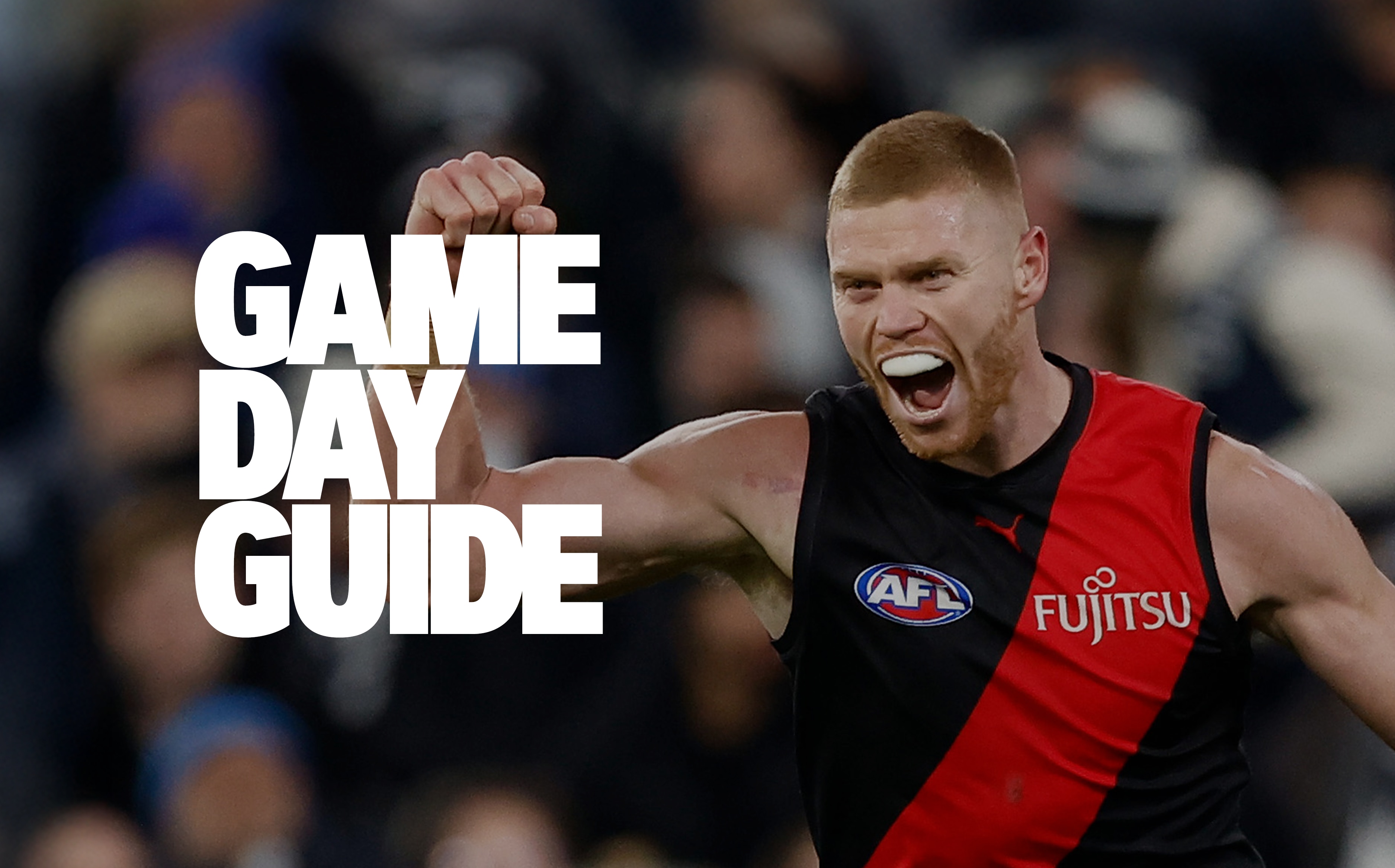 Gameday guide: Round 20