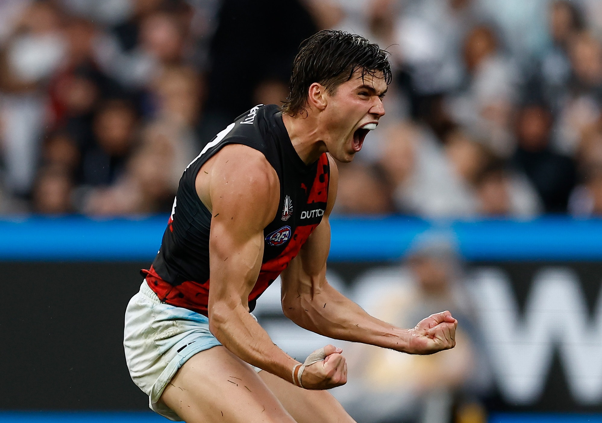 Crichton Medal preview: 2025’s best individual performances