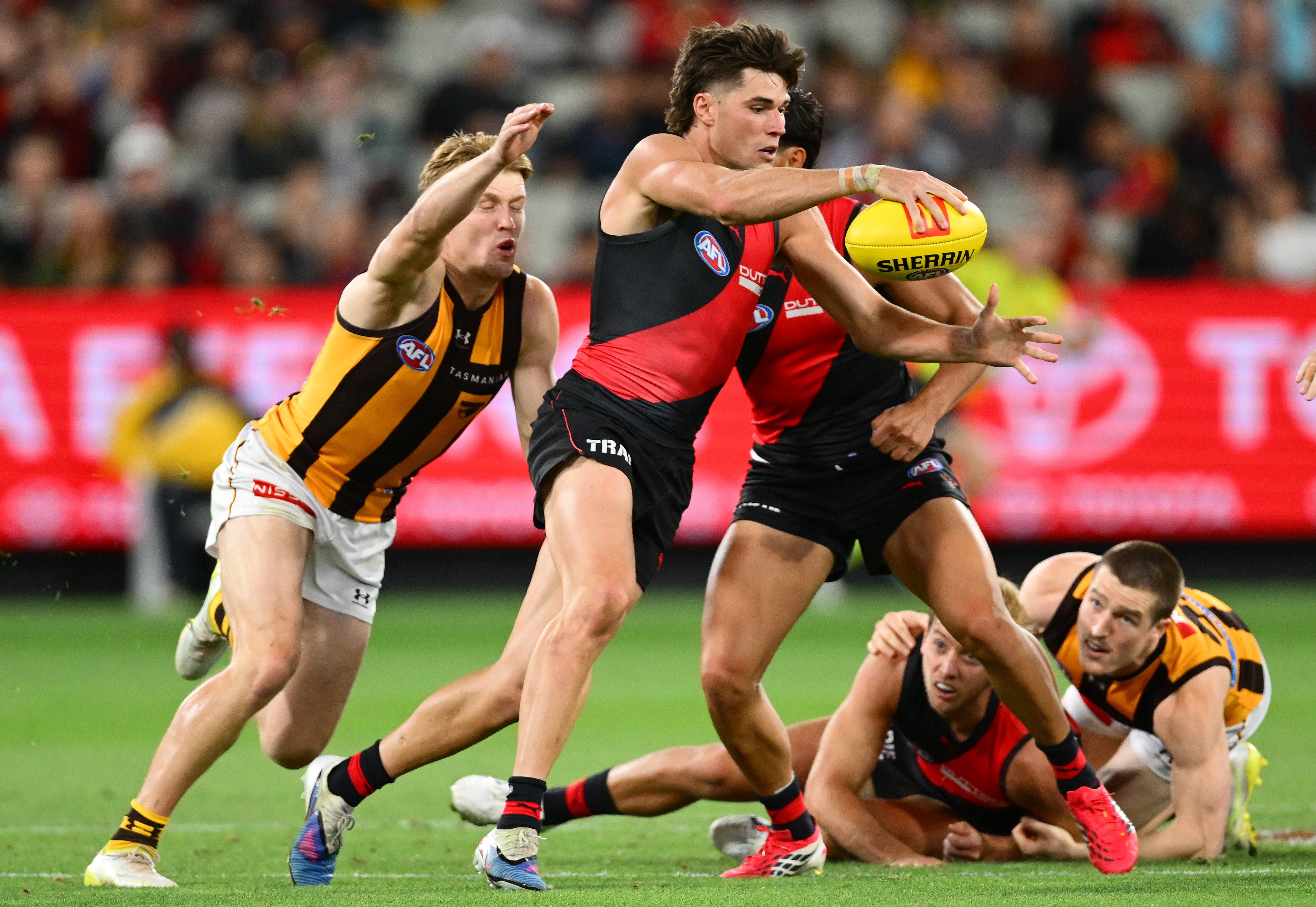 Hawks beat Dons convincingly in season opener