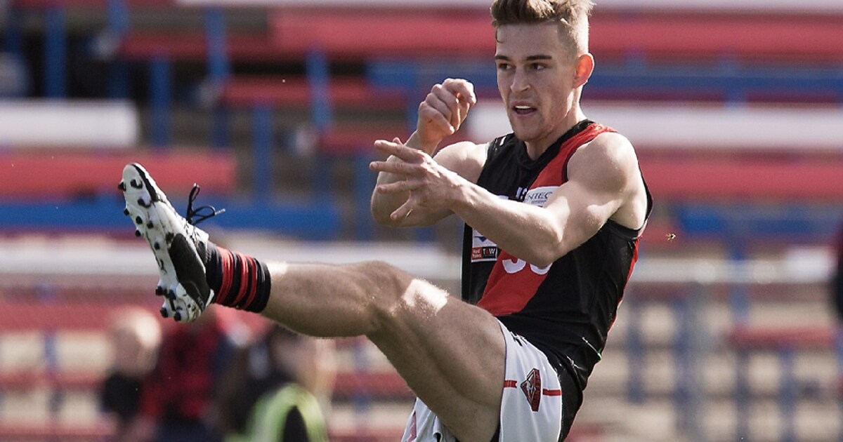 VFL player review: Round 19