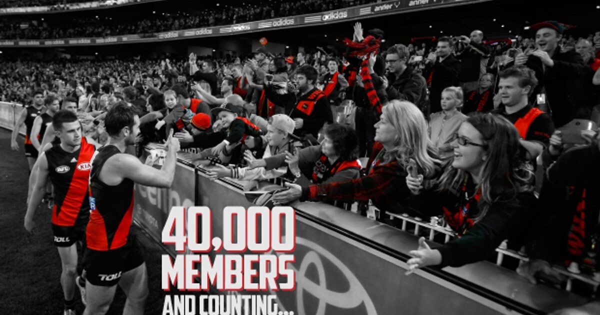 Essendon on track for record membership