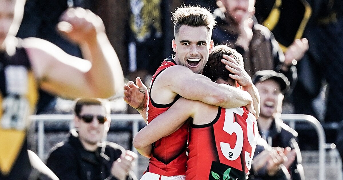 VFL team selection: Preliminary final