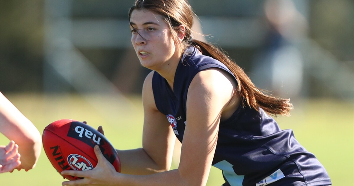 VFLW Dons unleash young star