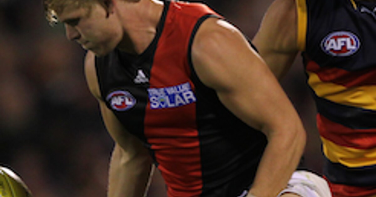 By the numbers: Essendon v Adelaide