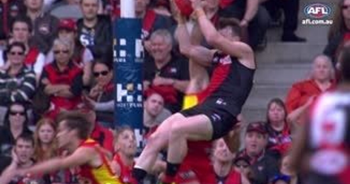 The Season's Best: Essendon