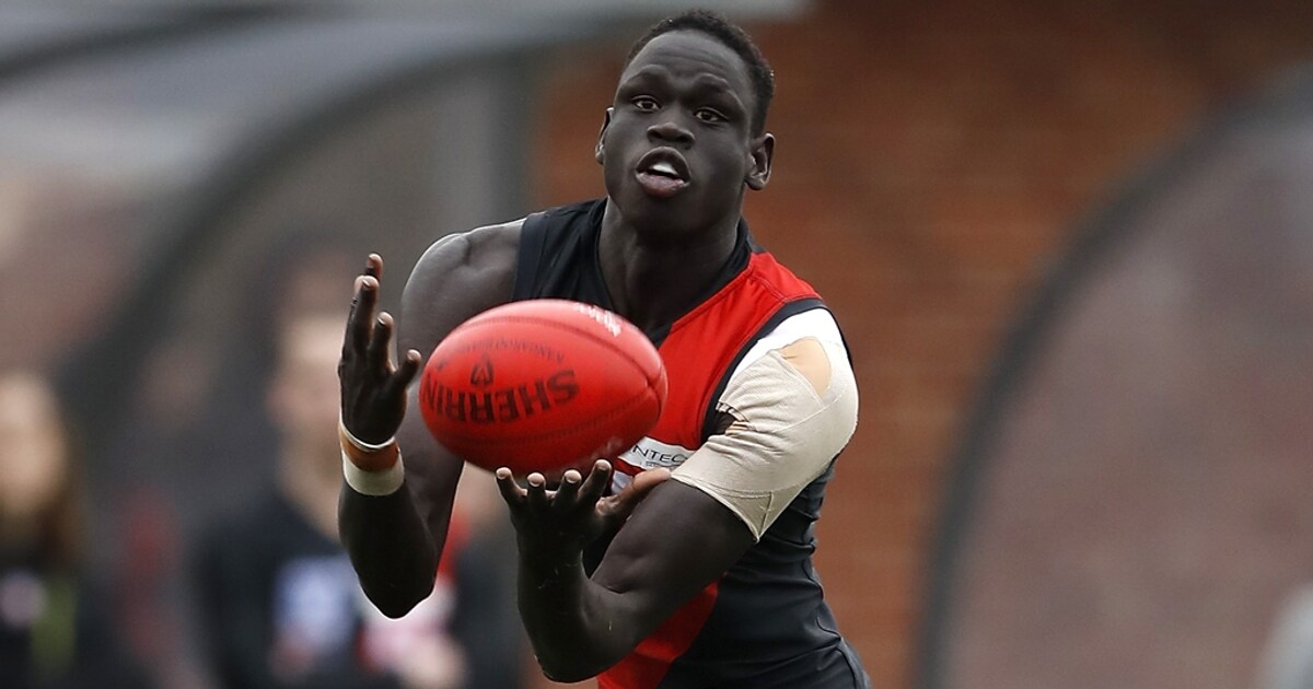 VFL player review: Preliminary final