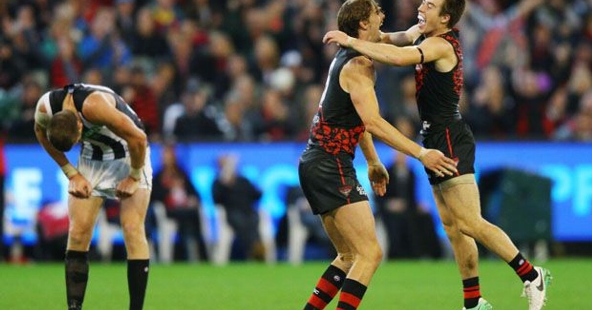 Young Dons on the rise