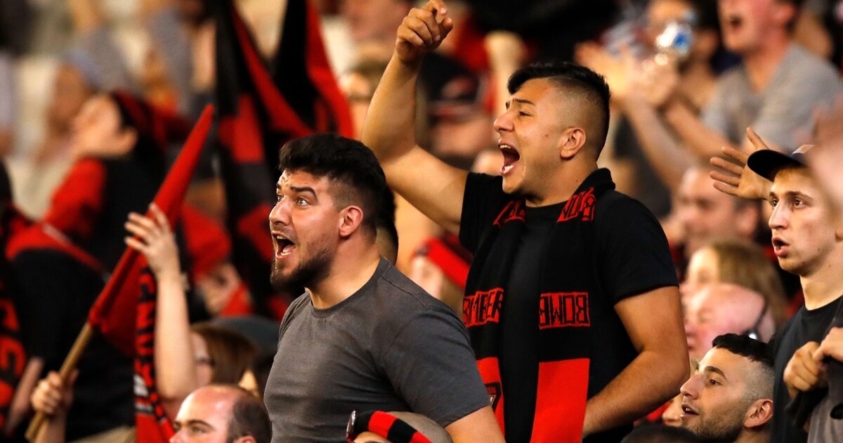 AFL open to fans in stands