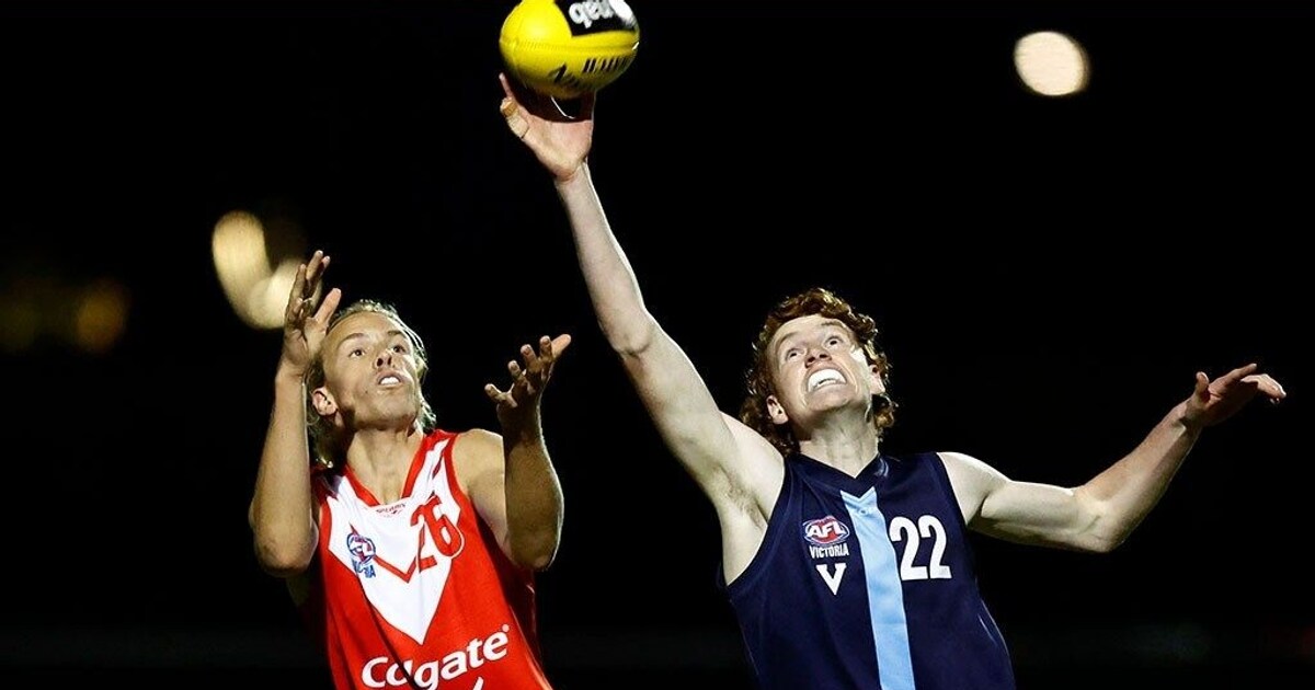 Draft | Lewis Hayes highlights