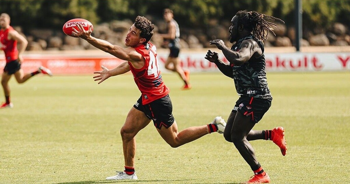 Pre-season | Final match sim highlights