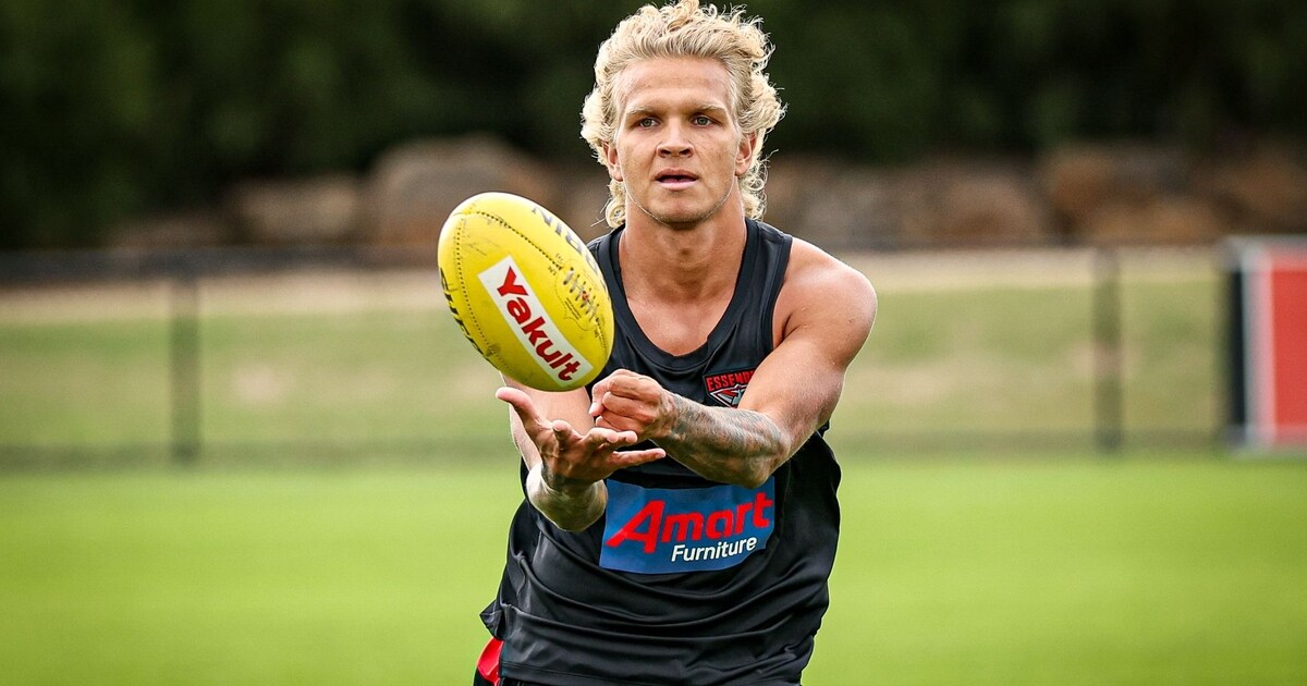 VFL: Sparkle Narkle's first session