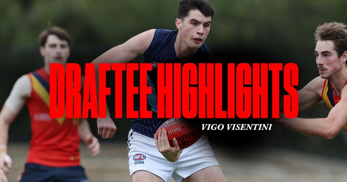 Draft | Vigo Visentini highlights