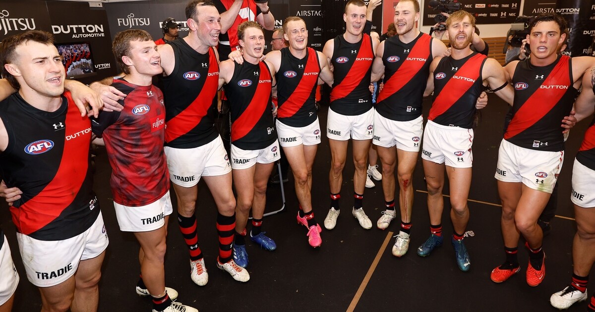 Match report: Dons deliver Friday night special against Dogs