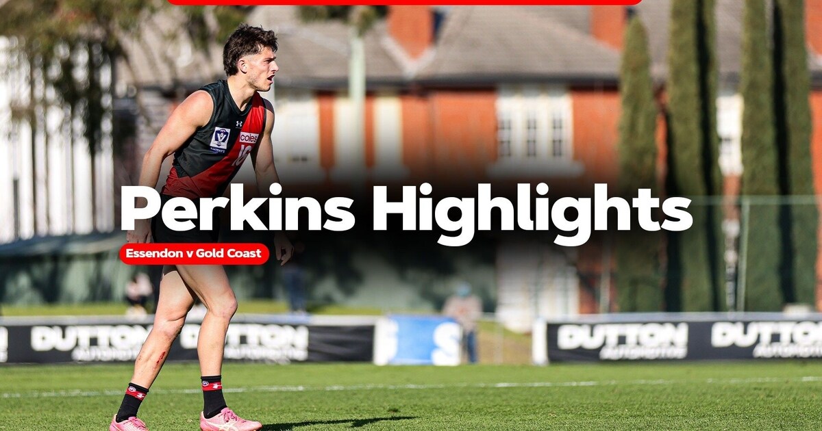 VFL Rd 20 | Perkins highlights